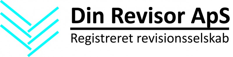 Din Revisor - Revisor i Varde | Ageras